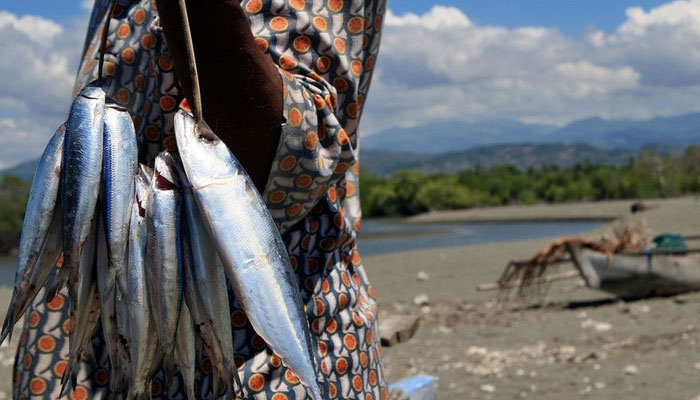 Ushuru wa samaki kizungumkuti Musoma | East Africa Television